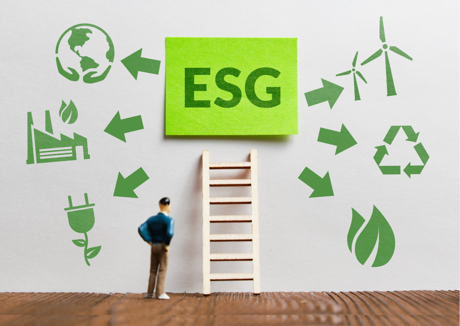 WDF Accounting and Advisory - Blog | Your 101 guide to Environmental, Social and Governance (ESG)
